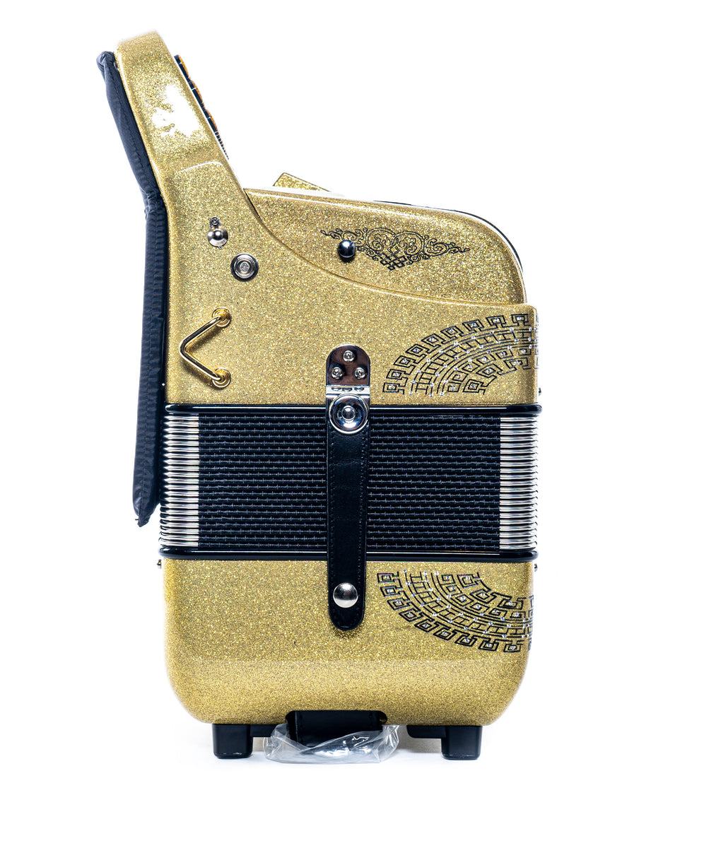 Massimo Supra Frosty Gold (Black details) 5 Switches / E Tone – Massimo ...